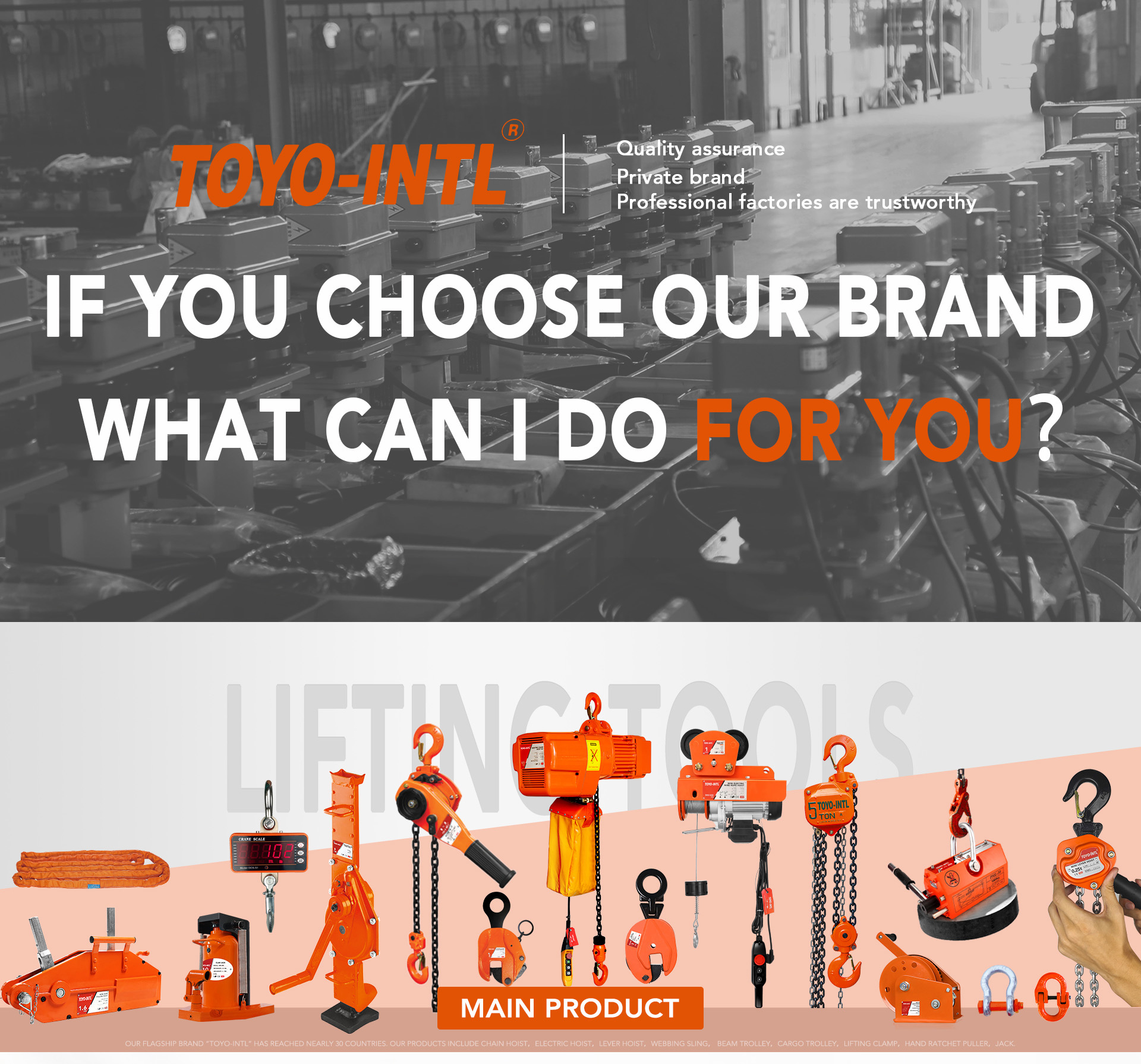 WHAT CAN I DO FOR YOU ? IT WILL BE INTERESTED - TOYO-INTL CHAIN BLOCK ...